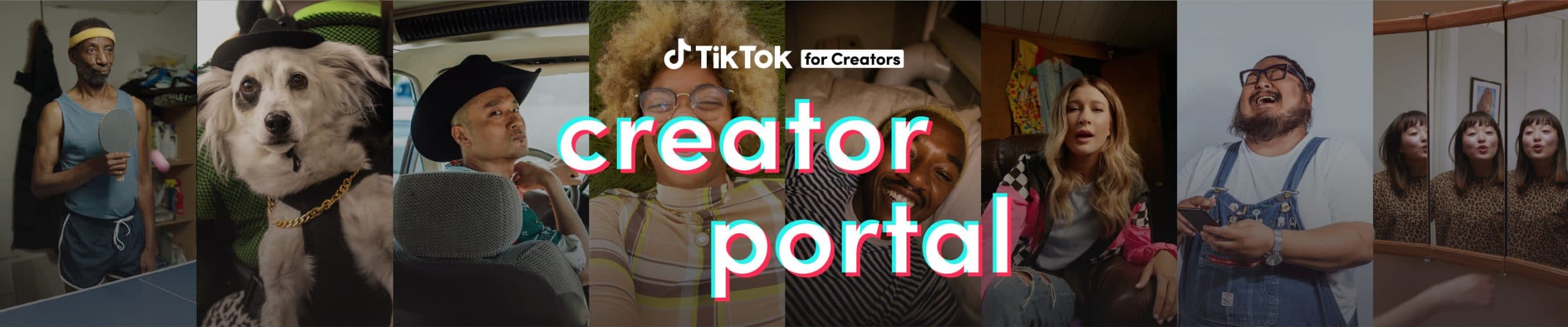 Instagram Professional Dashboard & TikTok Creator Portal | Überblick